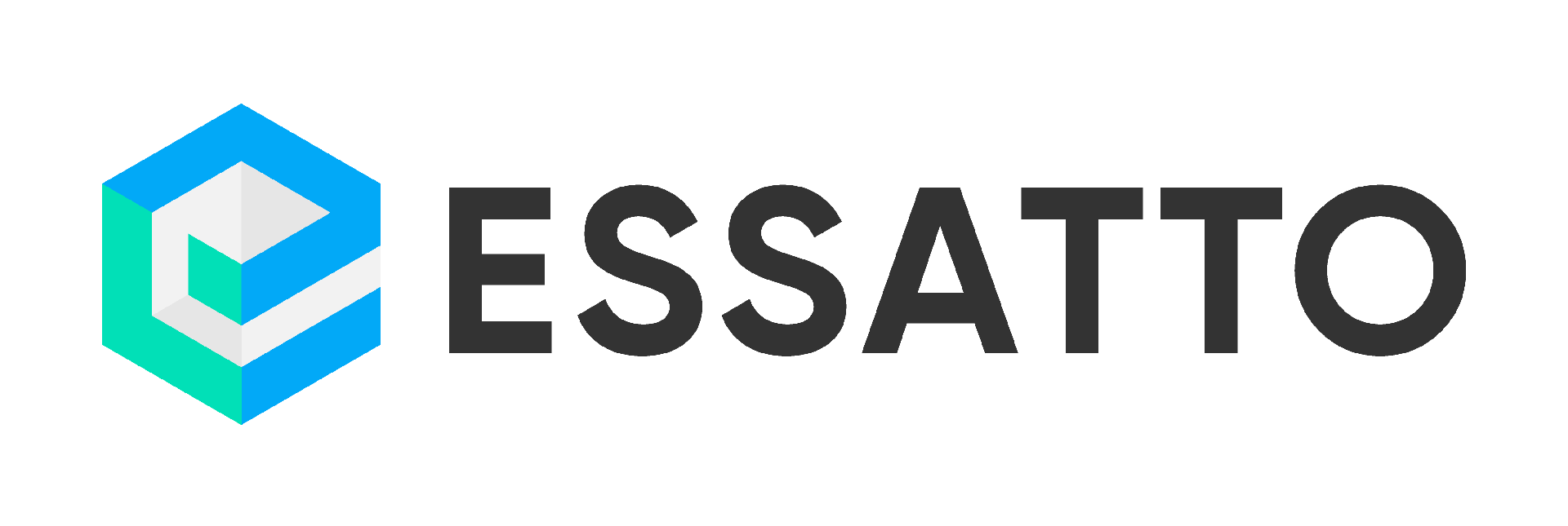 Essatto Software Portal